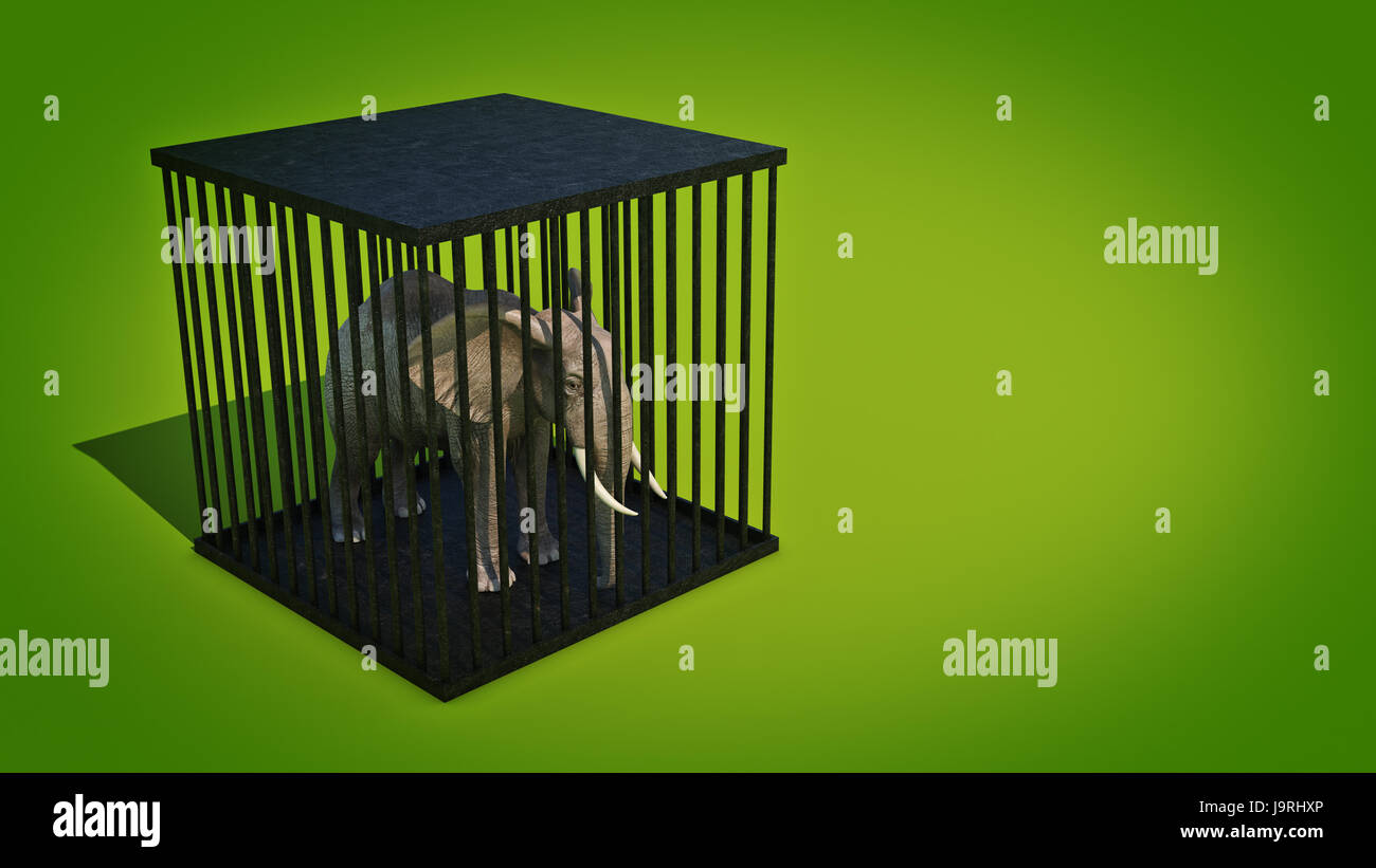 Elephant in jail hi-res stock photography and images - Alamy