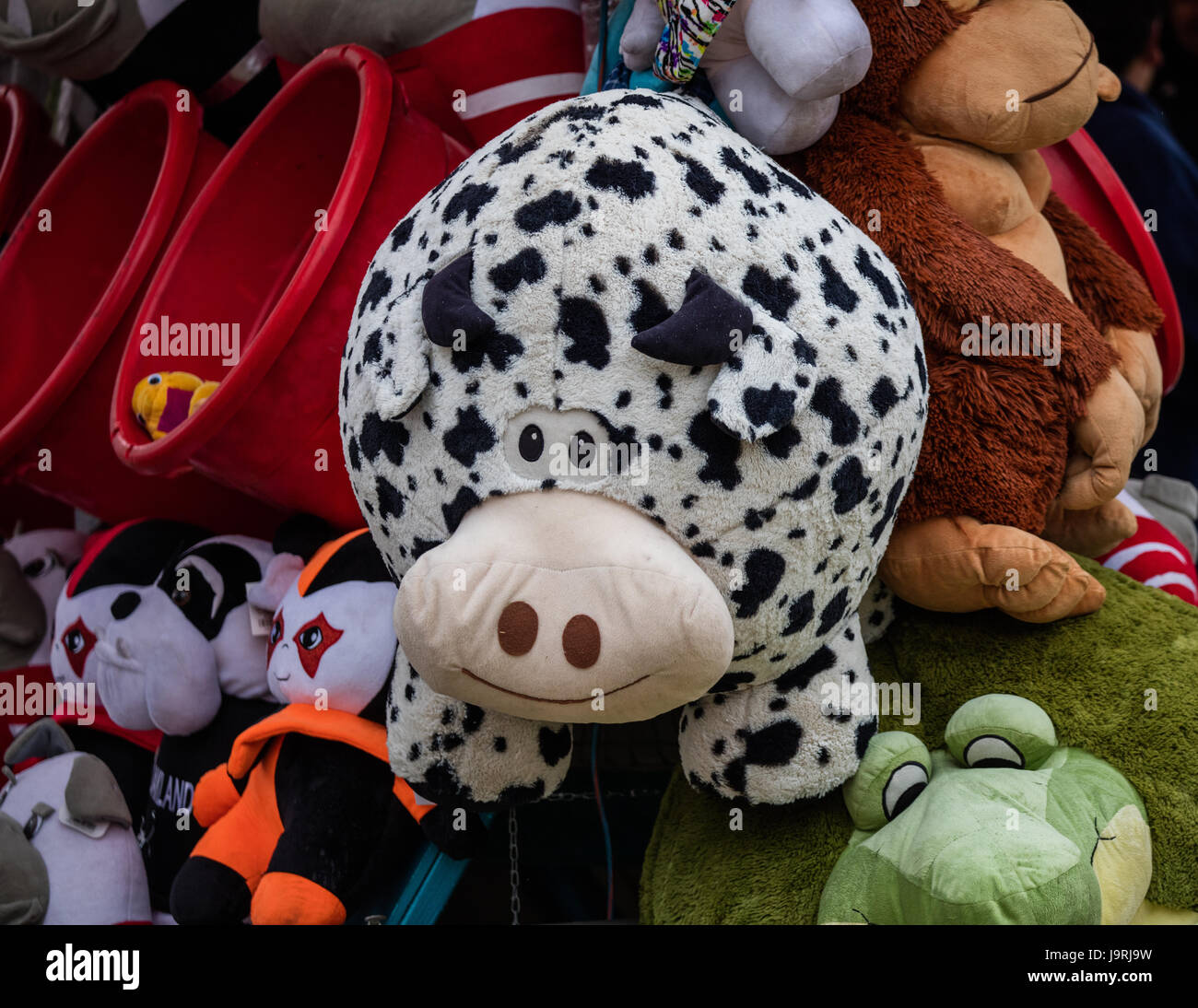 County fair carnival game prizes stuffed animals hi-res stock ...