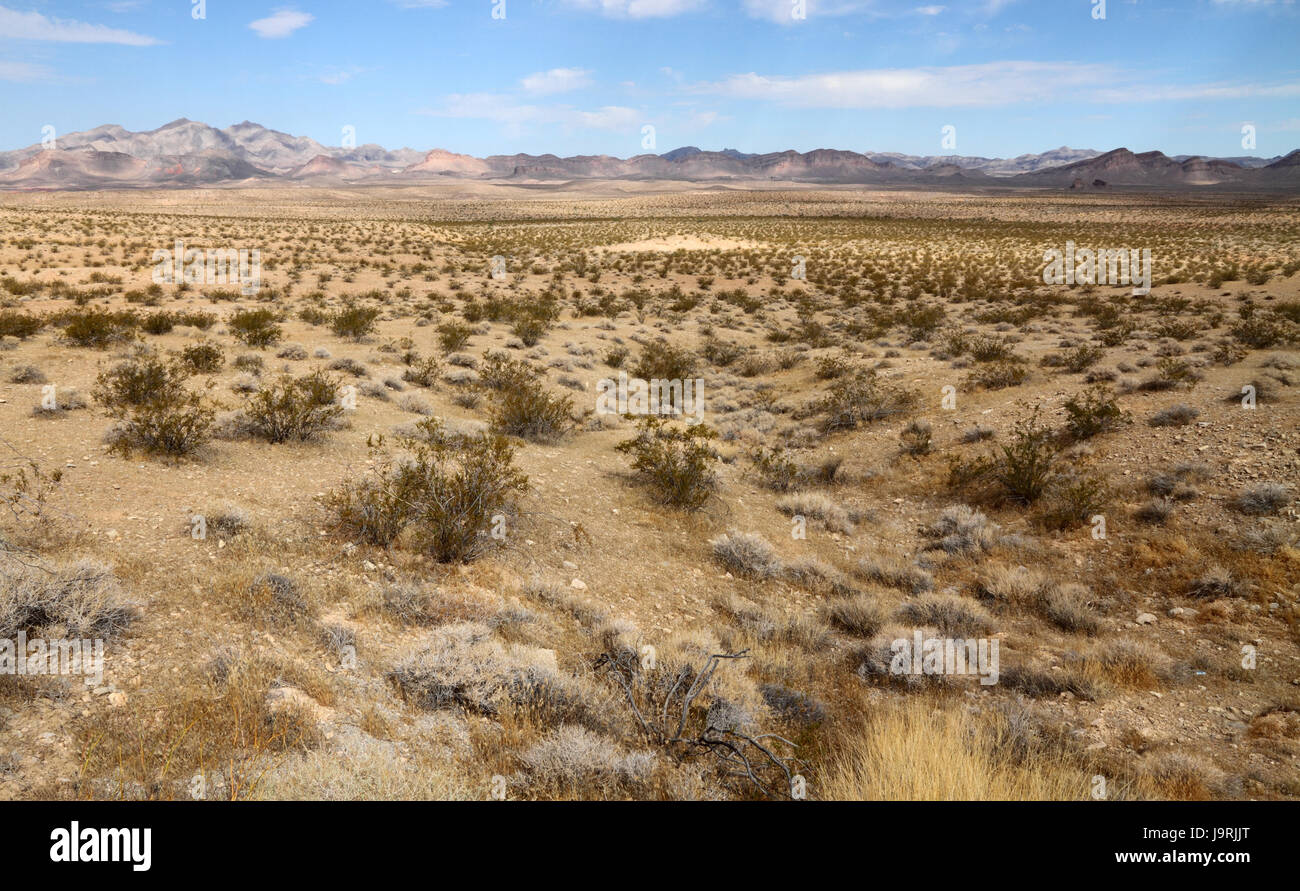 environment, enviroment, desert, wasteland, drought, landscape, scenery ...