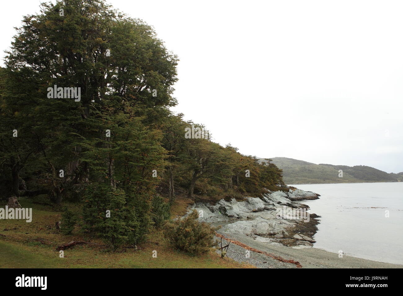 beach, seaside, the beach, seashore, argentina, chile, coast, salt ...