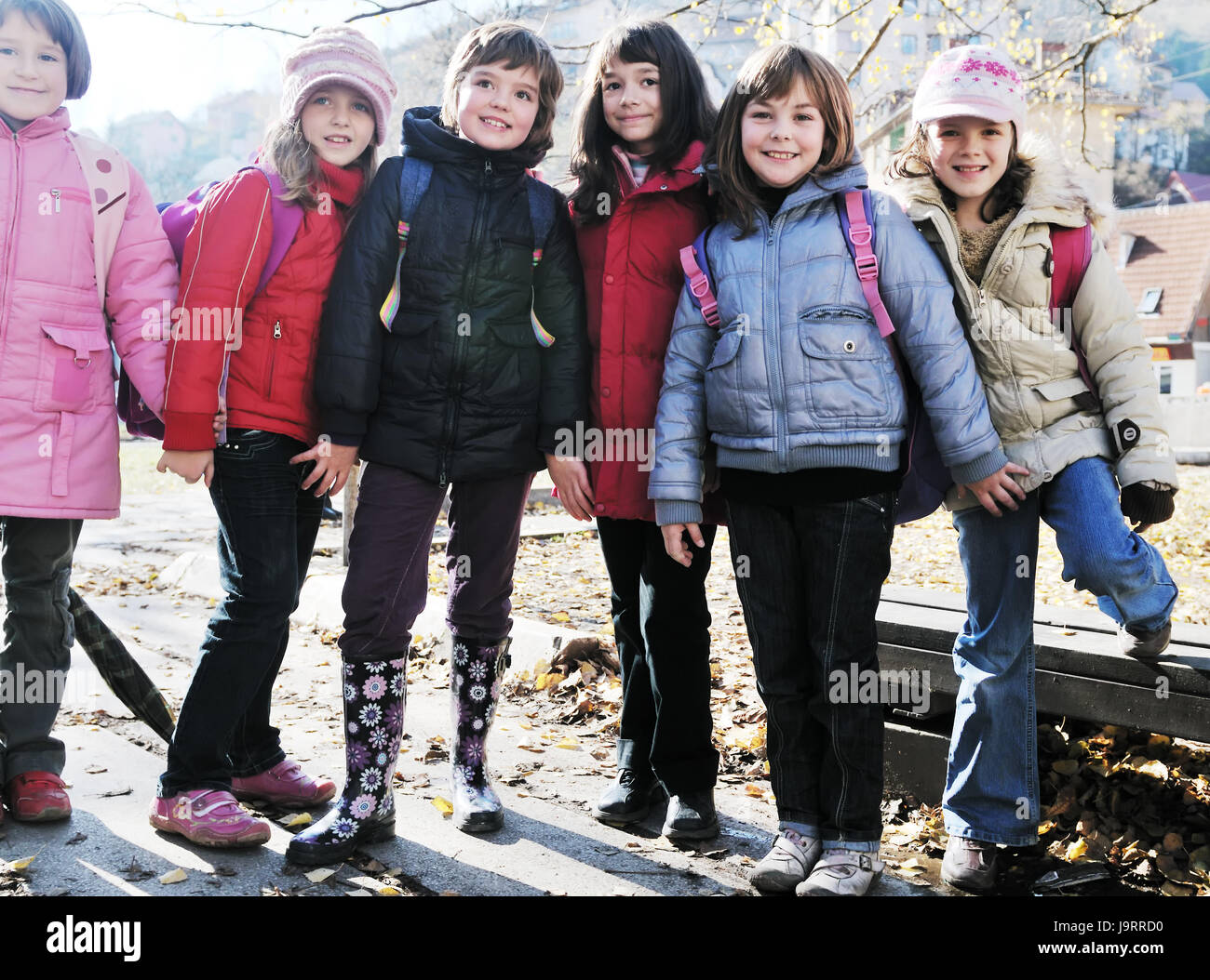 study, humans, human beings, people, folk, persons, human, human being ...