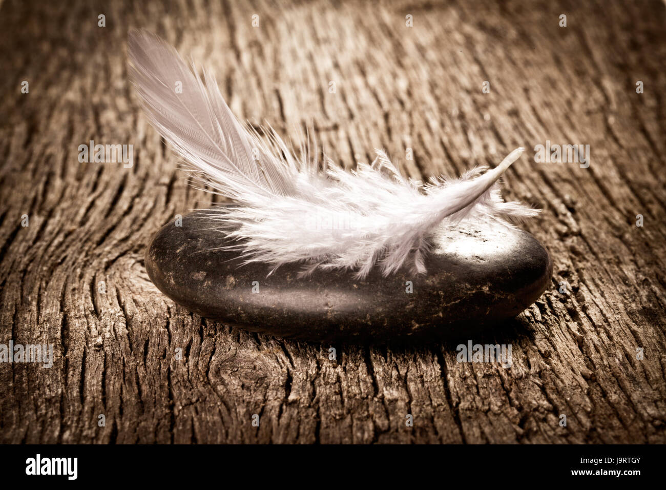 stone, fluff, feather, art, closeup, space, animal, bird, brown ...