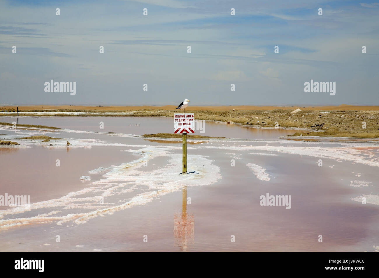 South-West Africa,Namibia,Namib desert,coast,whale fish-Bay,lagoon,salt ...