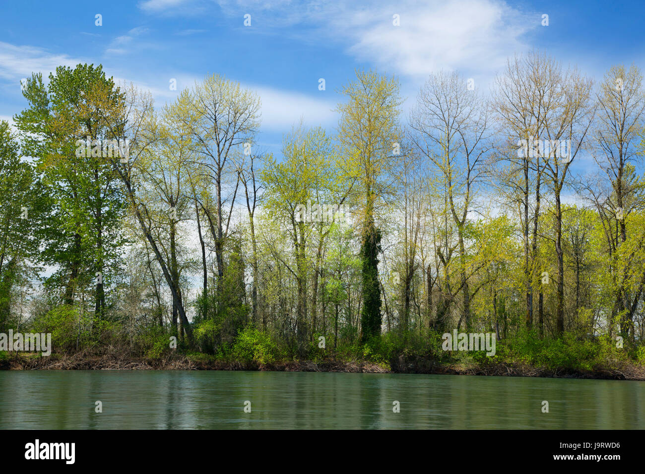 Willamette River, Riverfront Park, Harrisburg, Oregon Stock Photo - Alamy