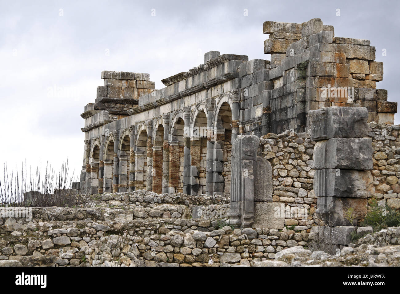 Volubis hi-res stock photography and images - Alamy