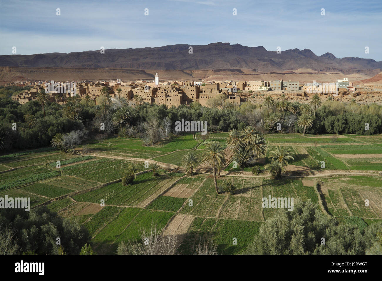 Oasis Tinerhir,close Erfoud,Morocco Stock Photo - Alamy