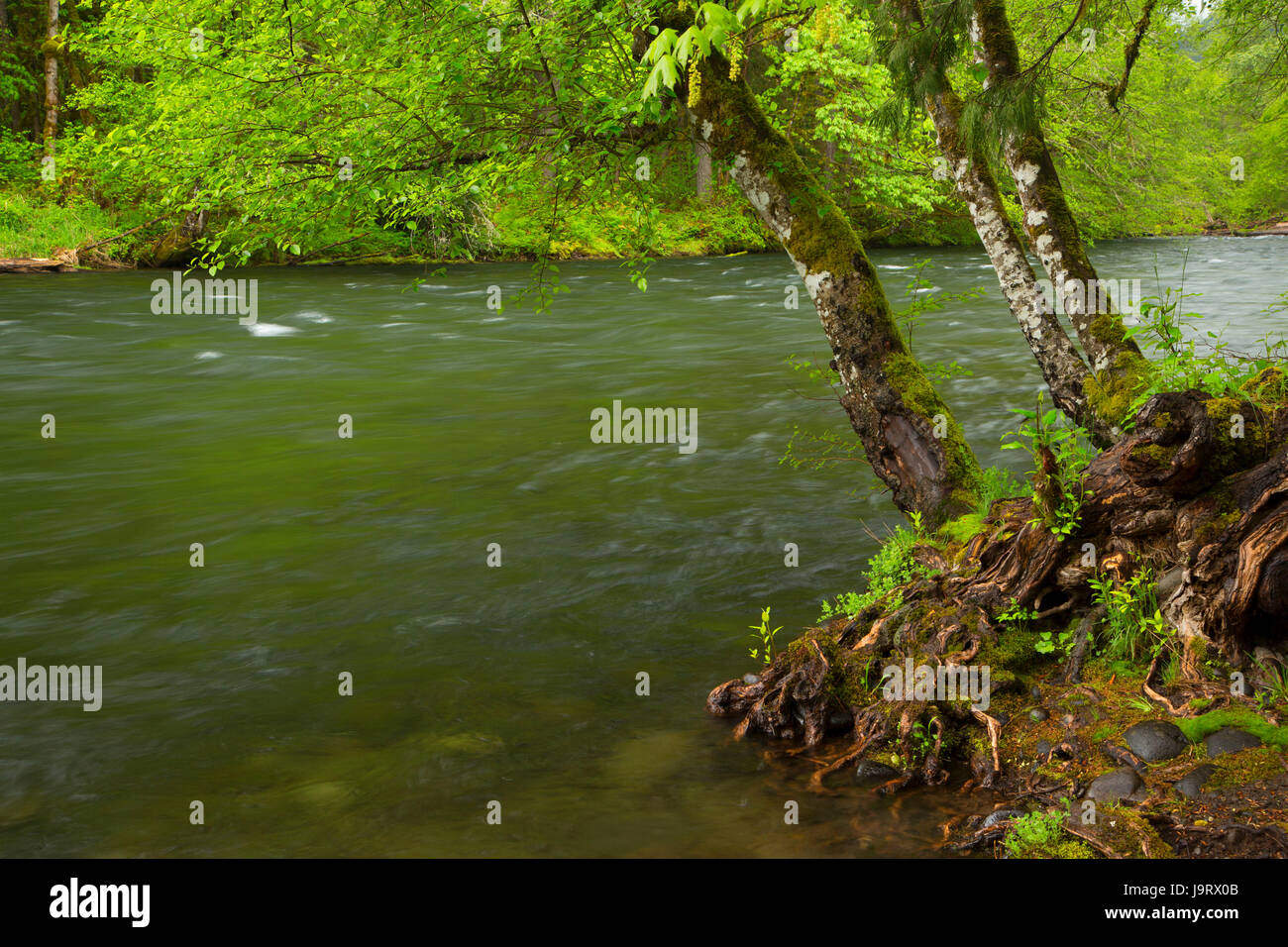 Mckenzie county hi-res stock photography and images - Alamy