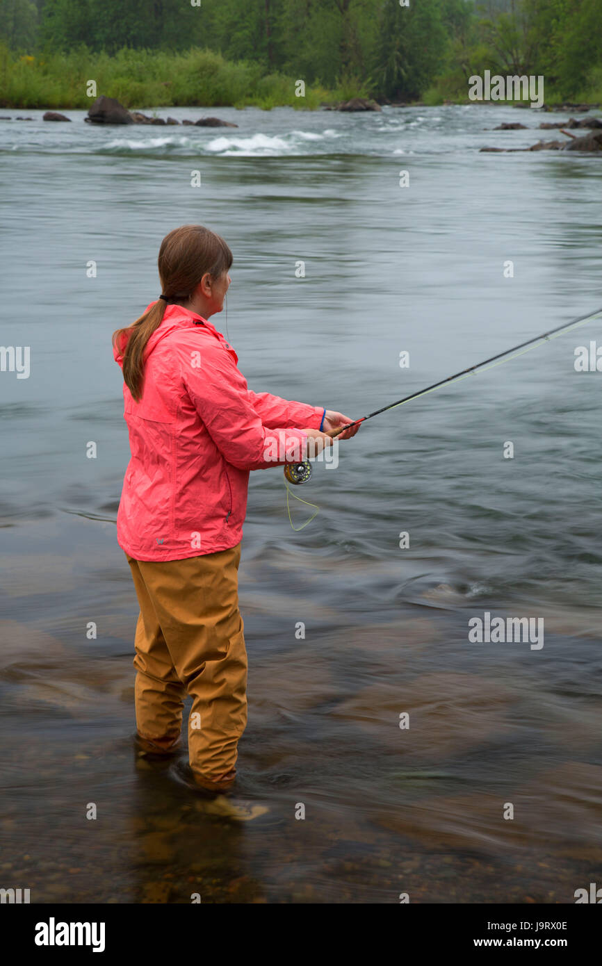 Flyfishing the McKenzie River, Lane County, Oregon Stock Photo - Alamy