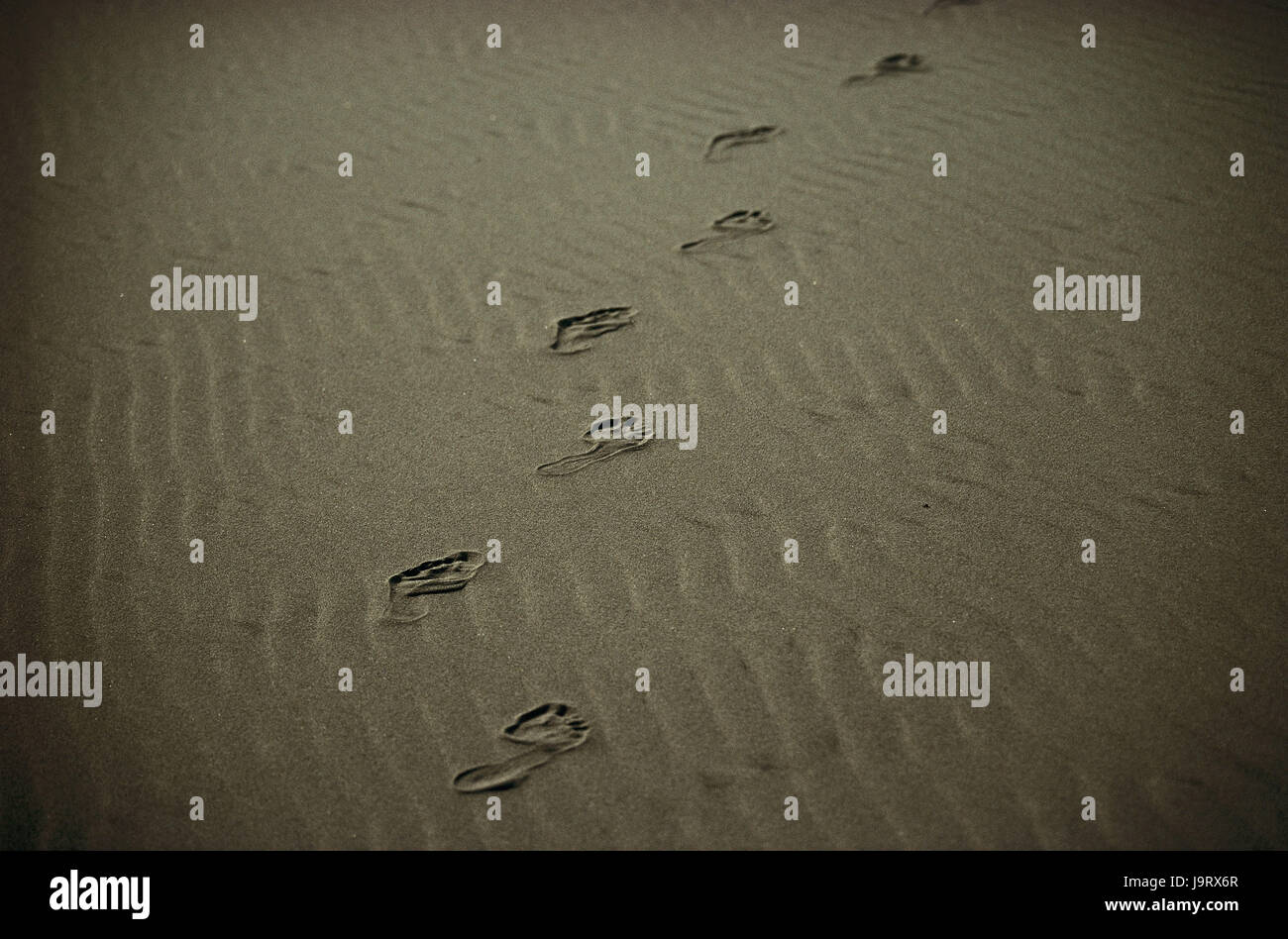Sand,footprints,nobody,deserted,copy square,conception,footprint,tracks ...