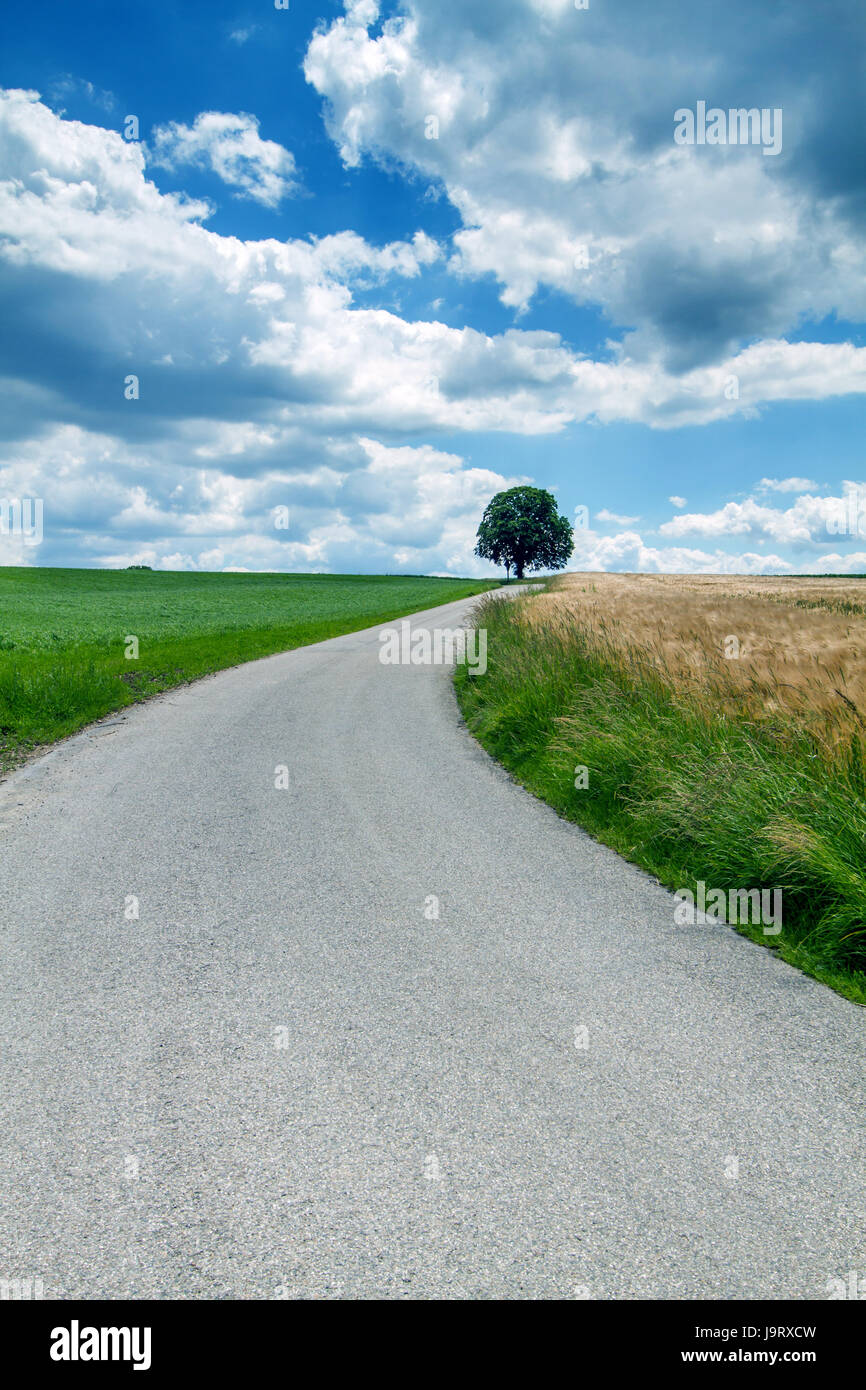 highway with single tree in southern bavaria Stock Photo - Alamy