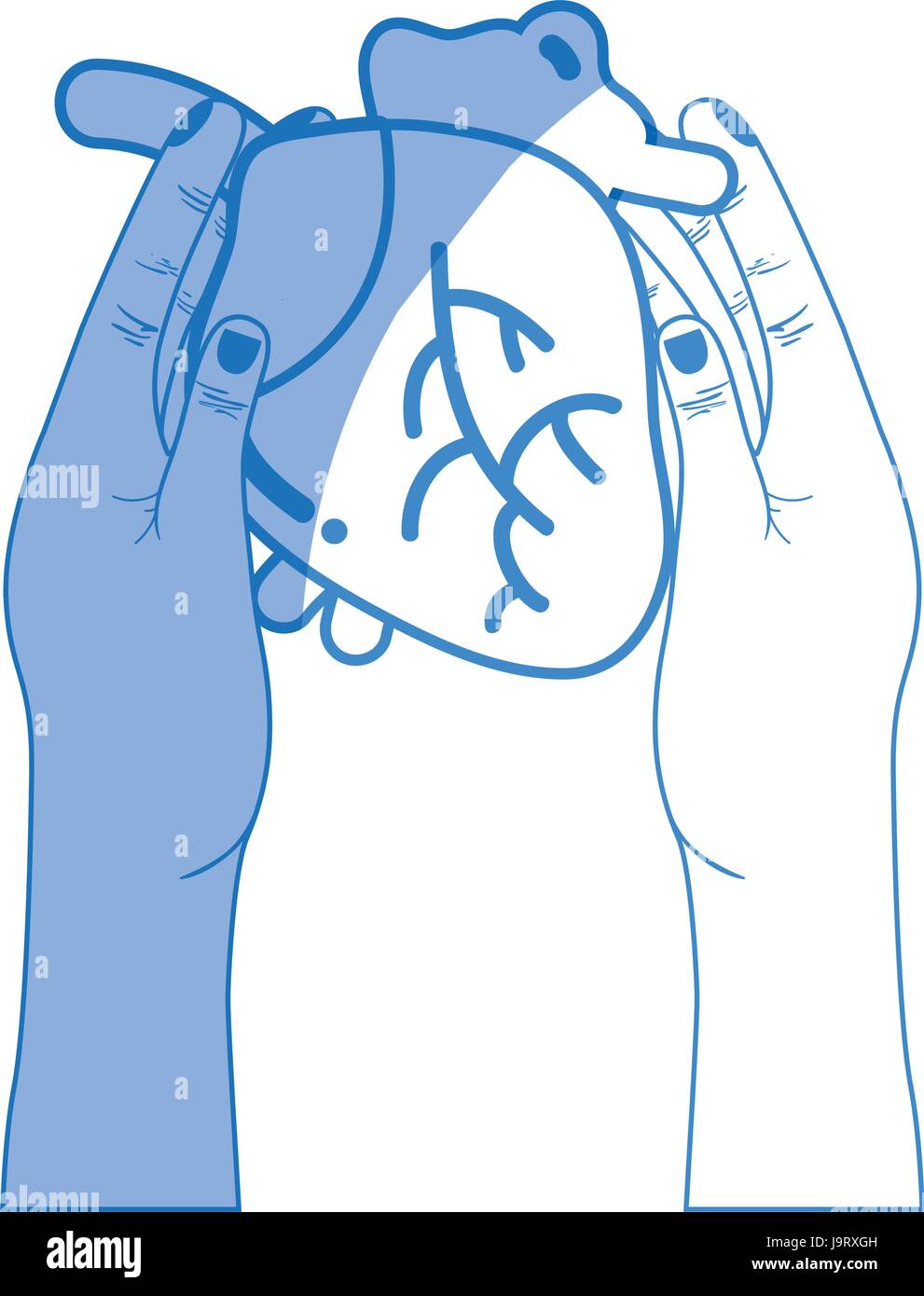 silhouette heart organ to blood circulation in the hands Stock Vector ...