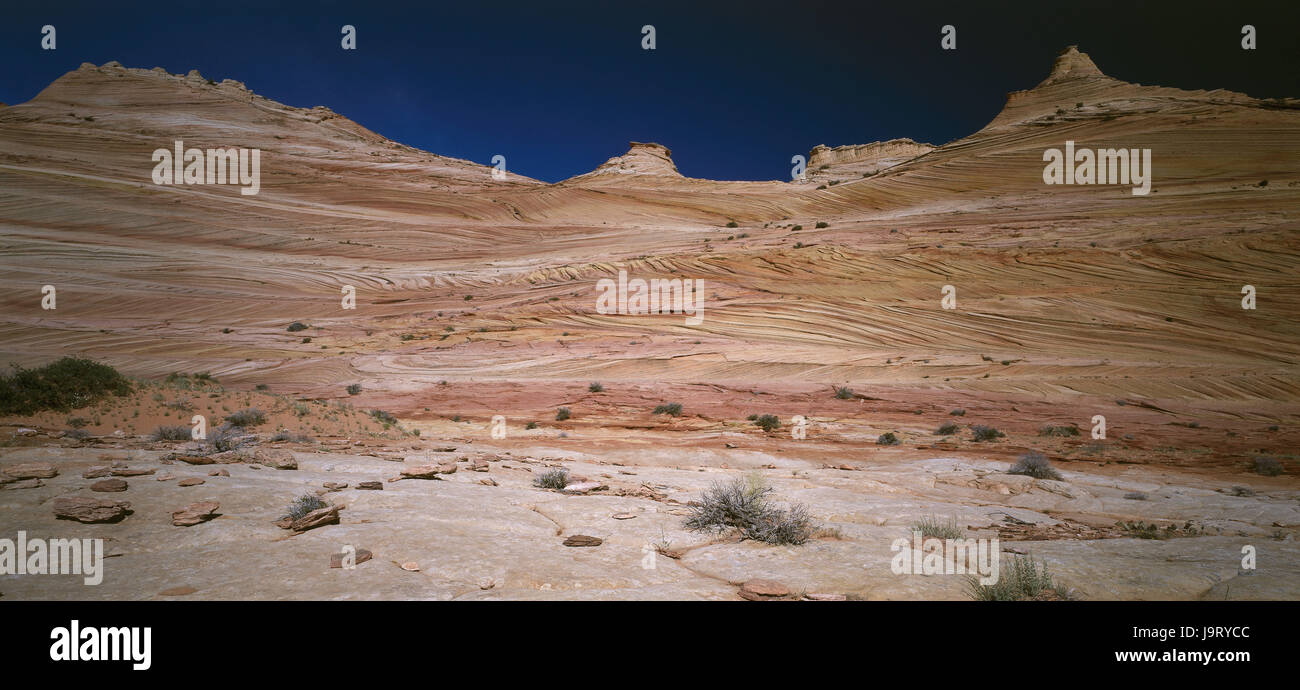 The USA,Utah,pariah canyon Vermilion Cliffs Wilderness,coyote of ...