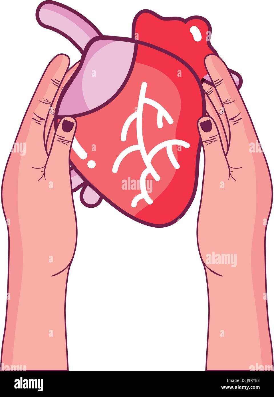 Blood circulation in hands Stock Vector Images - Alamy