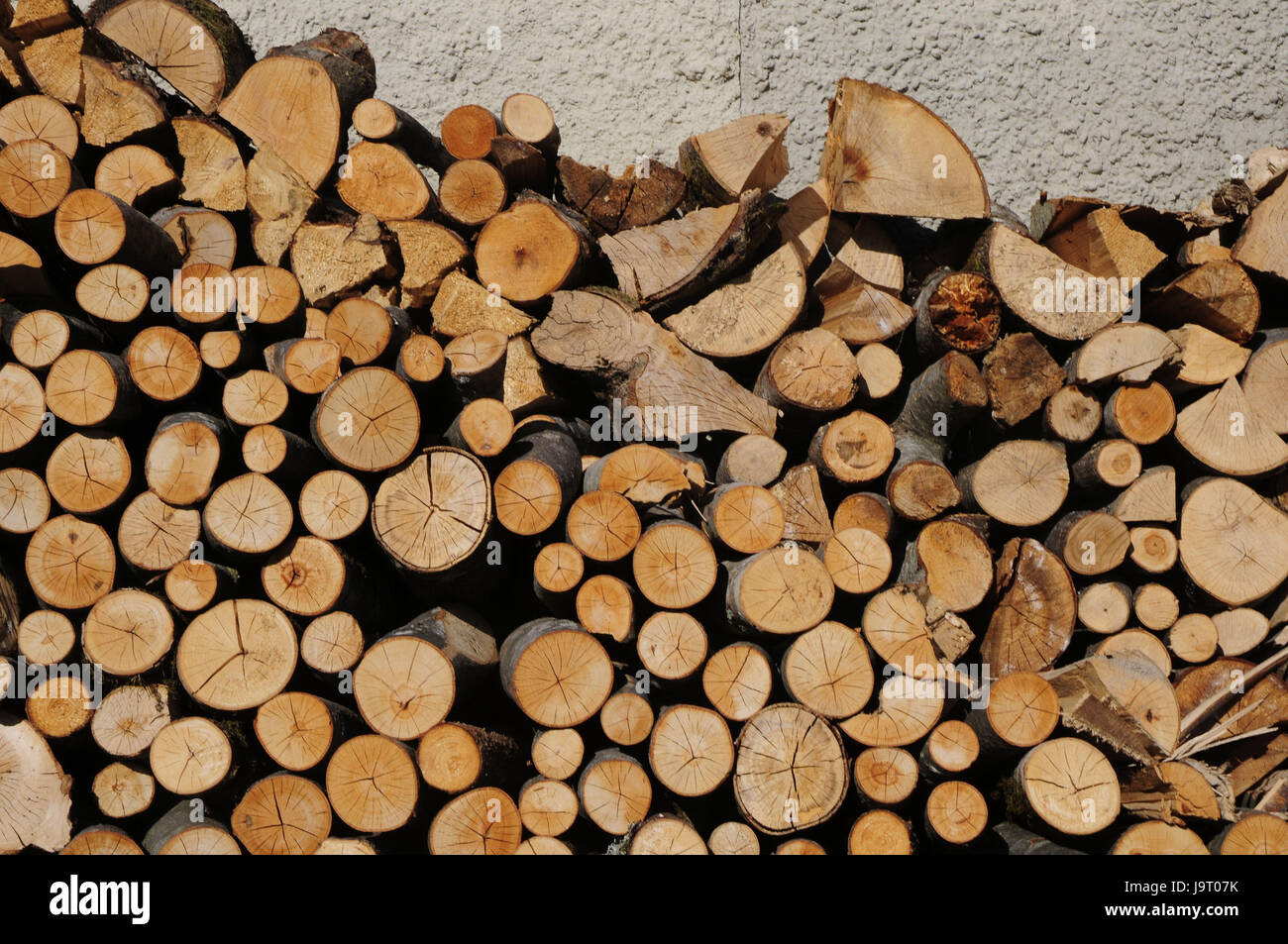 Pile of wood,round timber,chopped Stock Photo - Alamy