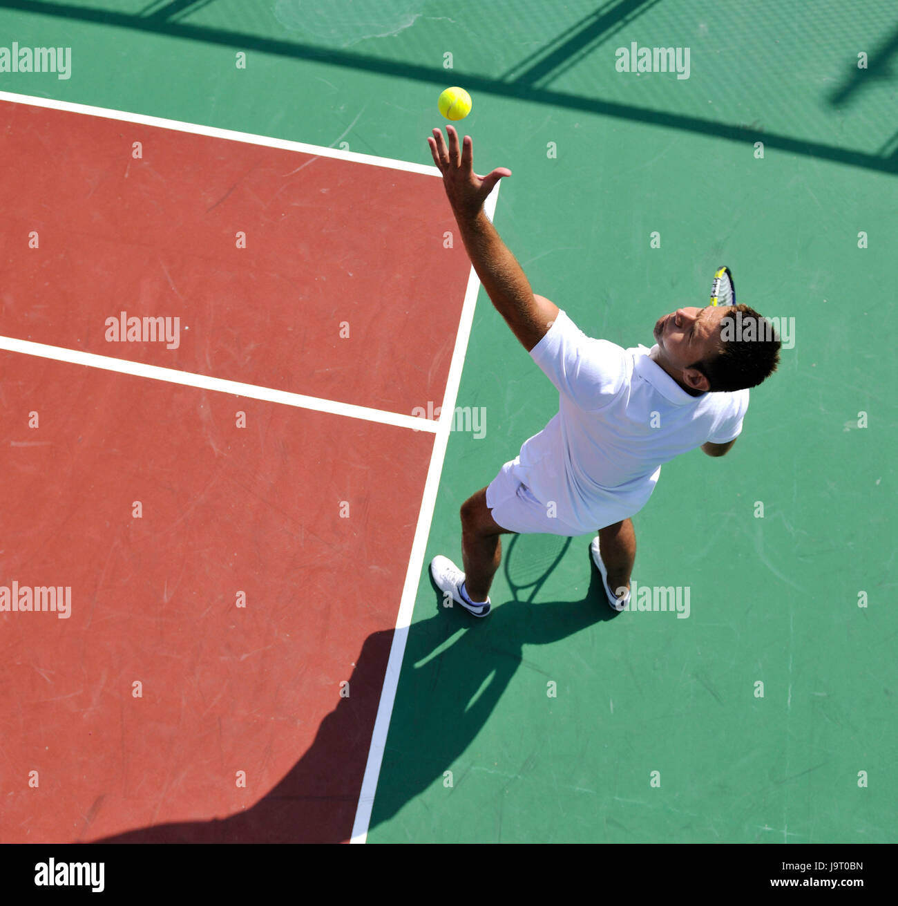 humans, human beings, people, folk, persons, human, human being, health ...