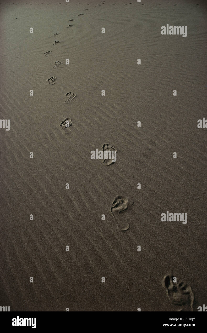 Used Enflex Model F11 Small Footprint Horizontal Form