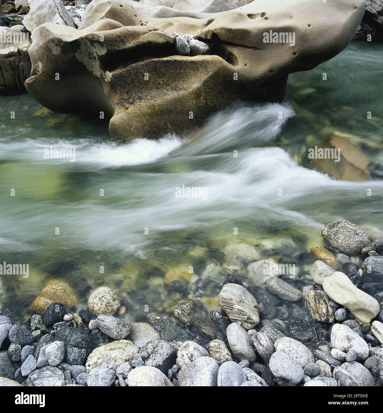 New Zealand,south island,west coast,Punakaiki,Paparoa Nationwide park ...