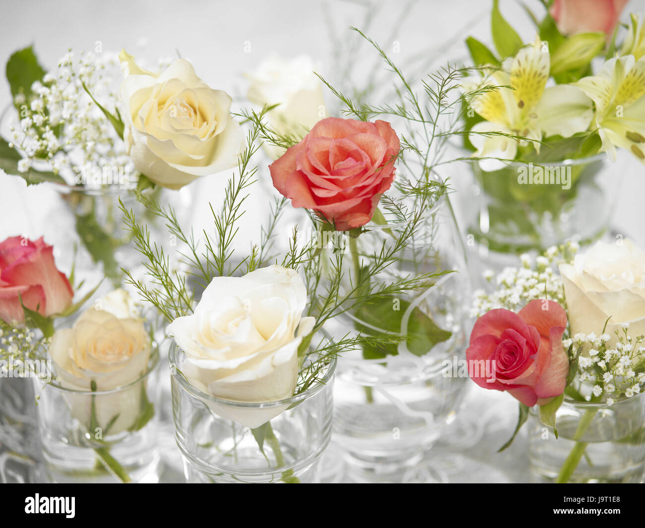 Glass veil hi-res stock photography and images - Alamy