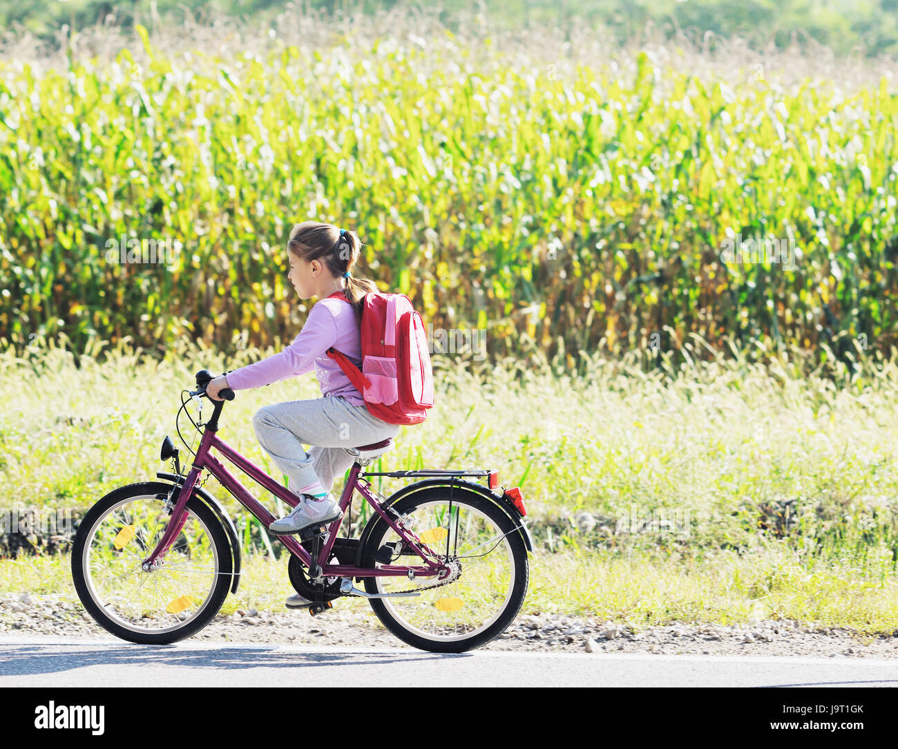 humans, human beings, people, folk, persons, human, human being, object ...