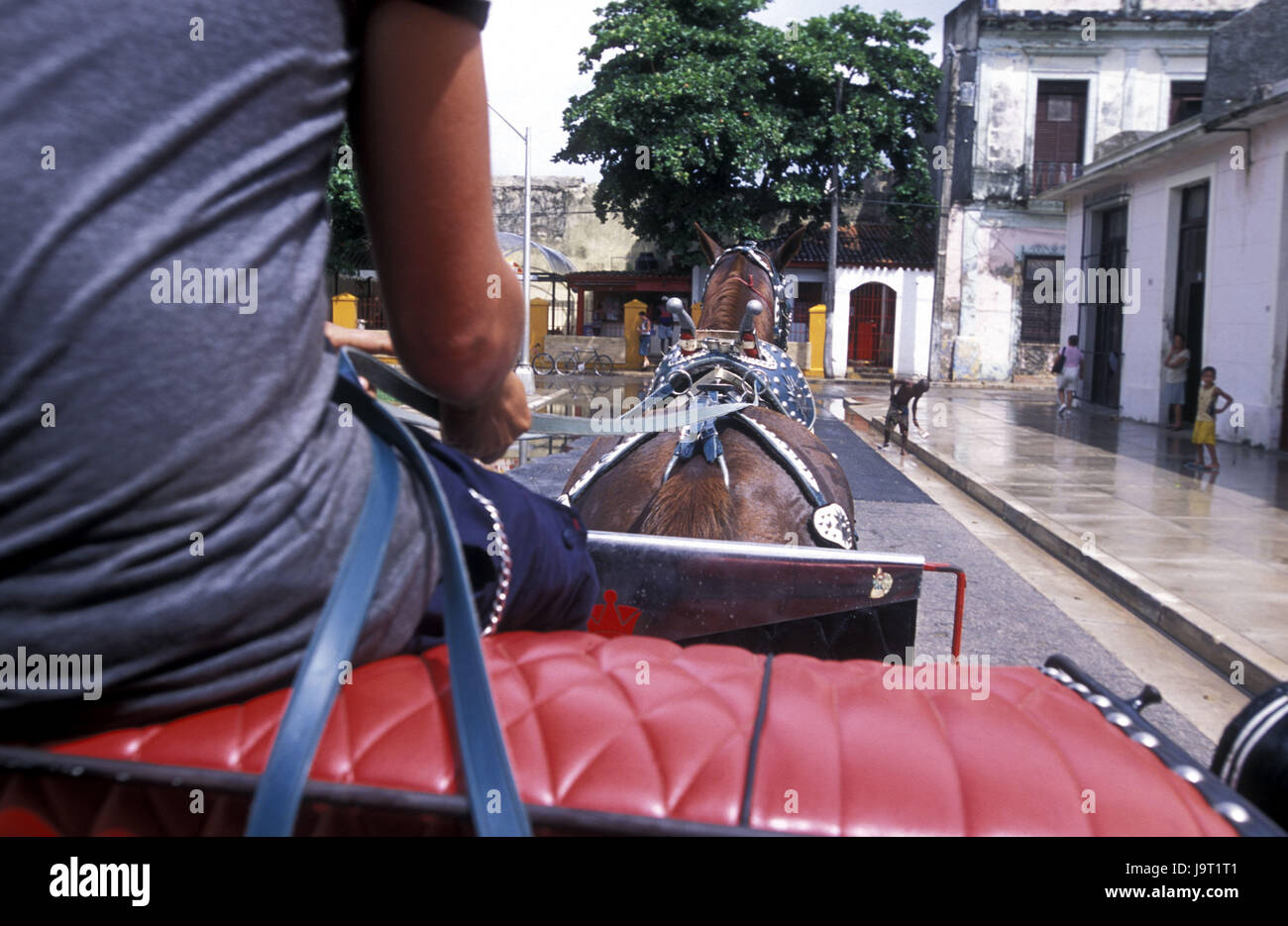 Cuba,Cardenas,Parque Colon,horse's carriage,coachman,detail,back view ...