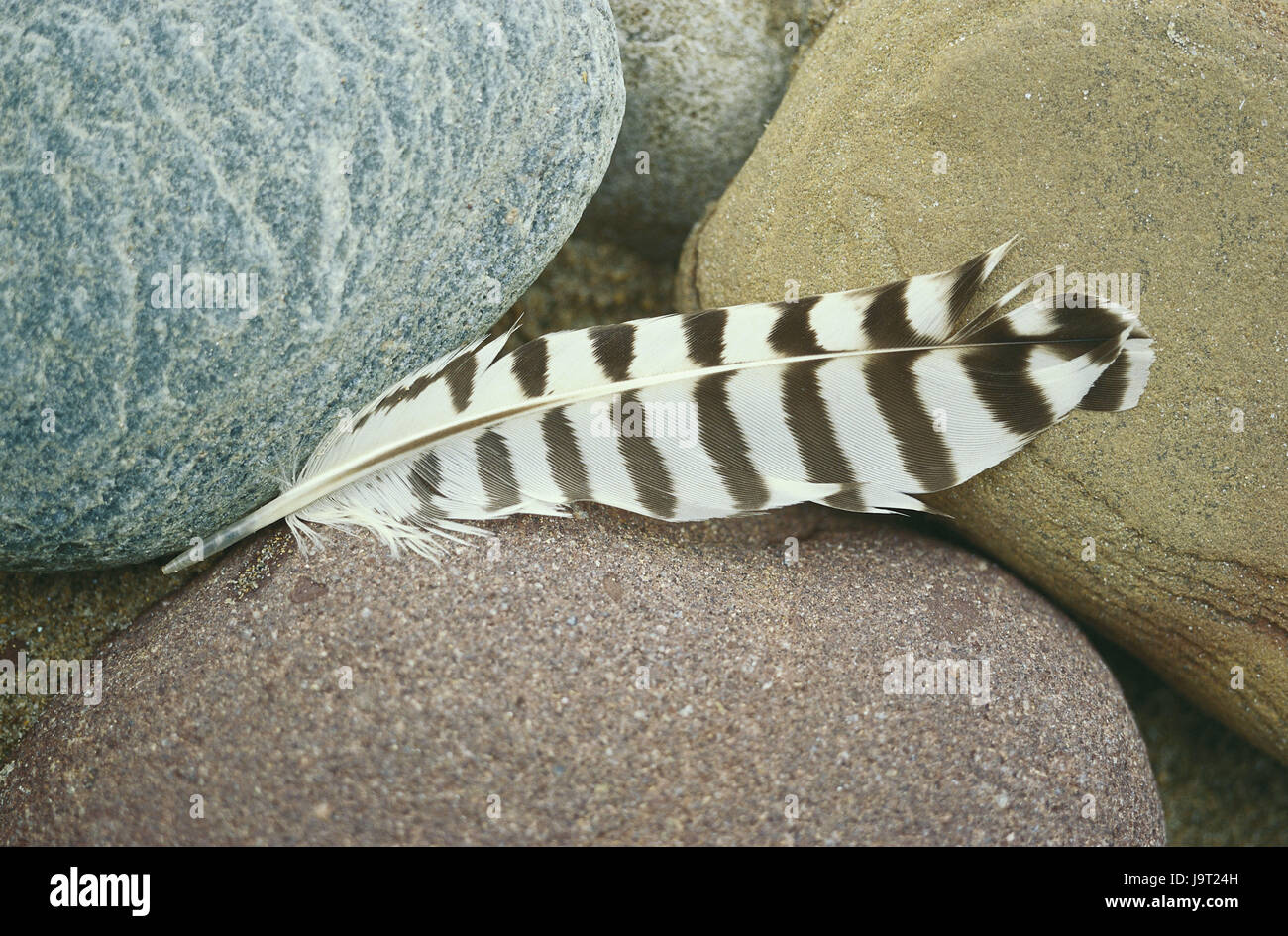 Stones,detail,feather,close up,conception,icon,from above,pebble ...