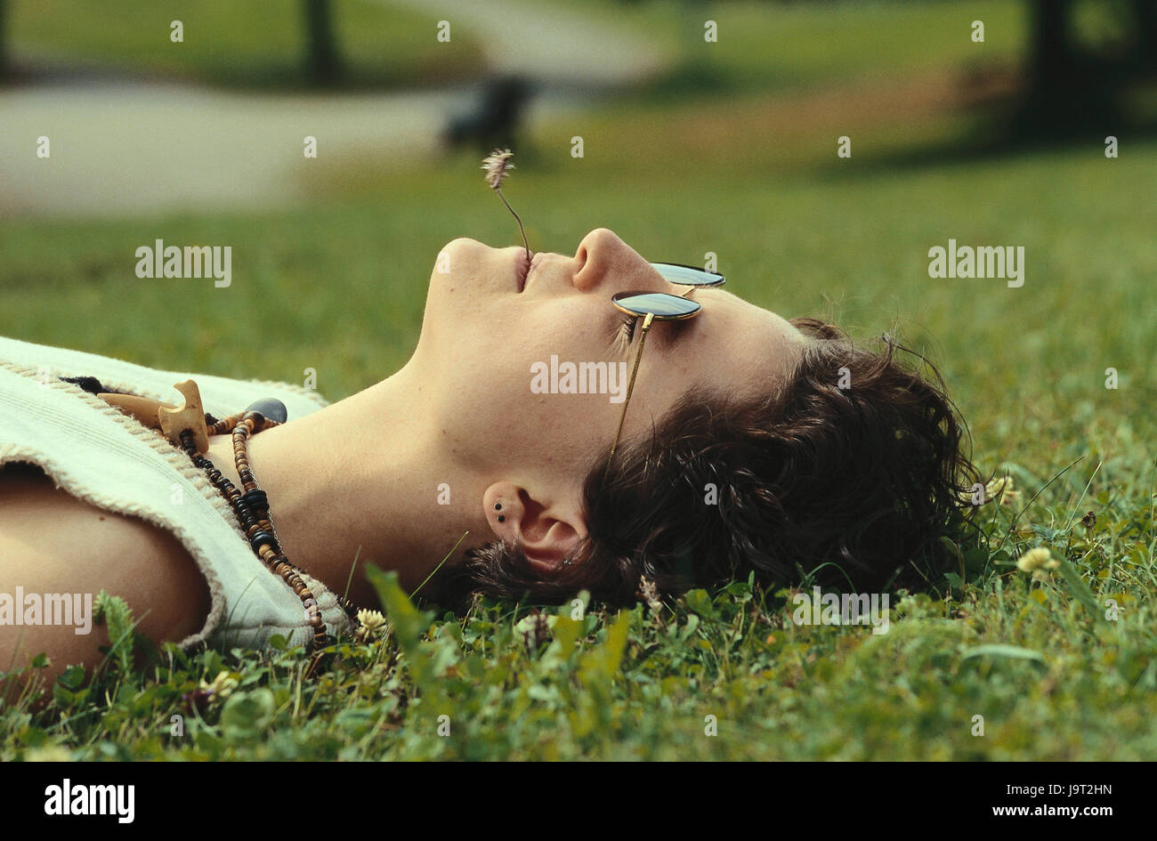 Woman,lie young,meadow,tread,person,women's portrait,brunette ...