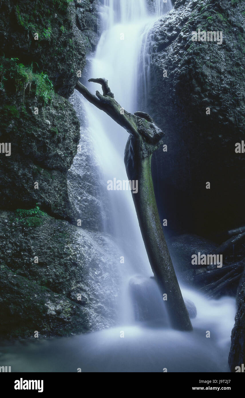 Waterfall,detail,branch,weirdly,Germany,Bavaria,Allgäu,Steigbachtobel ...