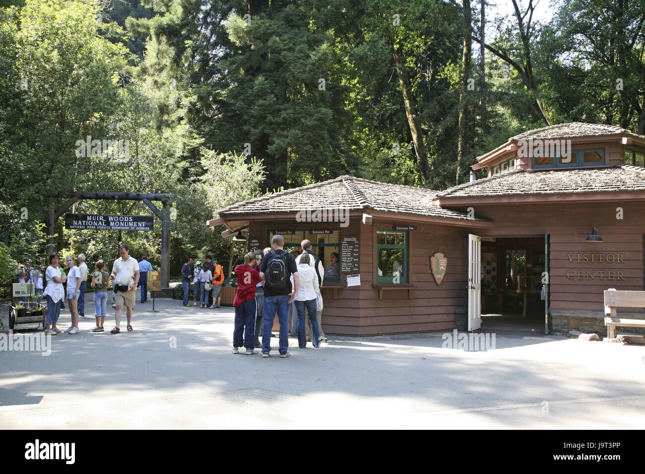 The USA,California,Muir Woods National Monument Stock Photo - Alamy