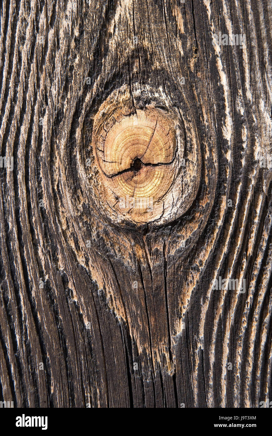 Springboard,close up,woodwork,wooden springboard,wooden structure ...