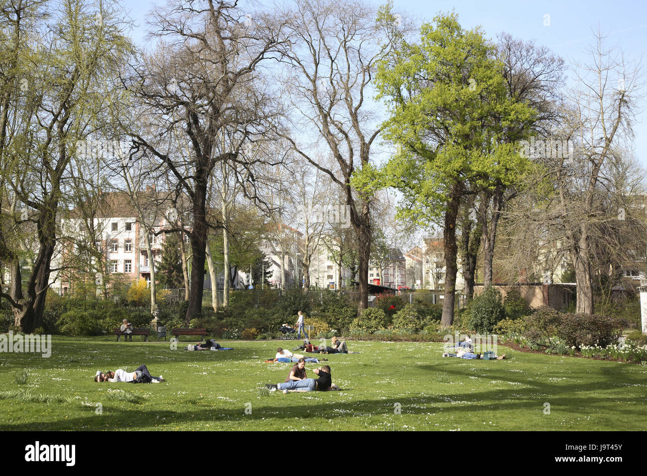 Germany,Hessen,Frankfurt on the Main,Bethmannpark Stock Photo - Alamy
