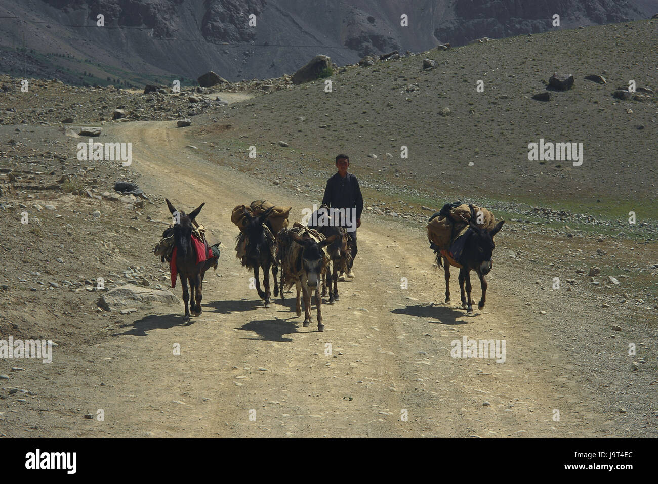 Pakistan,border area,Chitral,Gilgit,pass height,way,man,donkey,no model ...