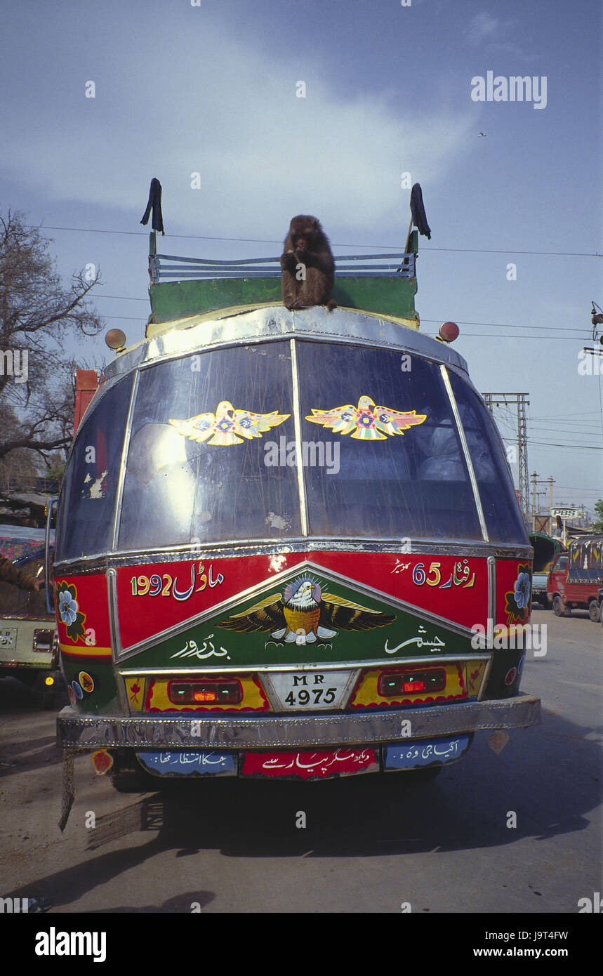 Pakistan Bus Quotes