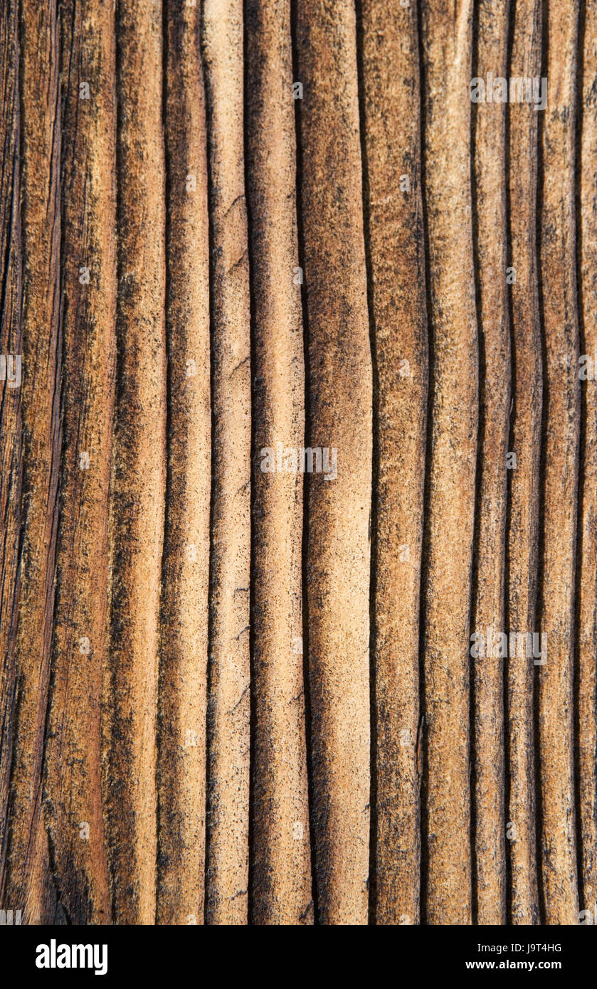 Springboard,close up,woodwork,wooden springboard,wooden structure ...