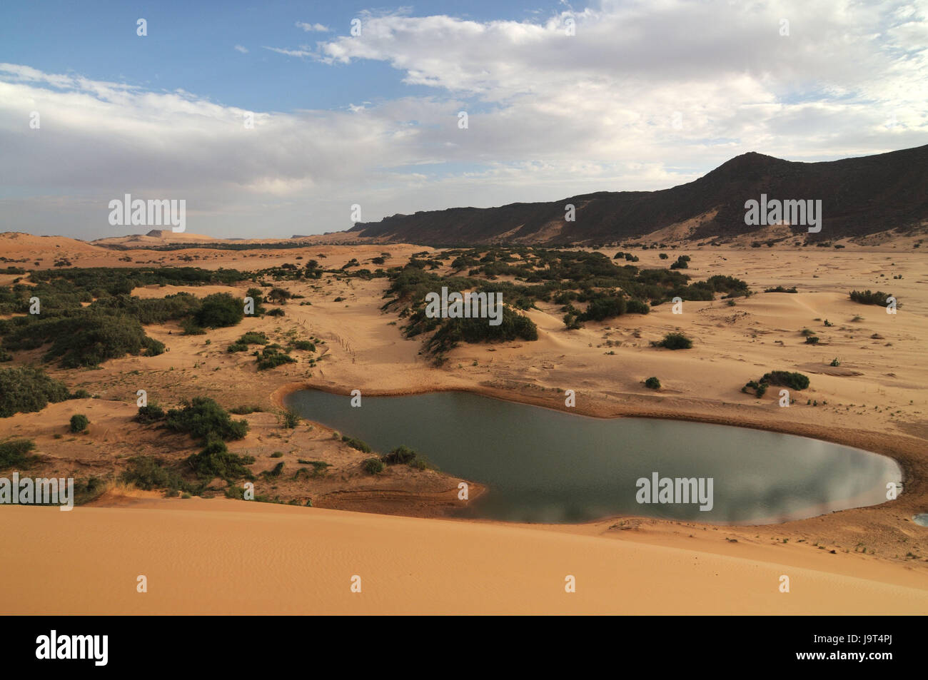 Mauritania,Adrar,desert,Sand dune,lake,Africa,West Africa,dune,Sand ...