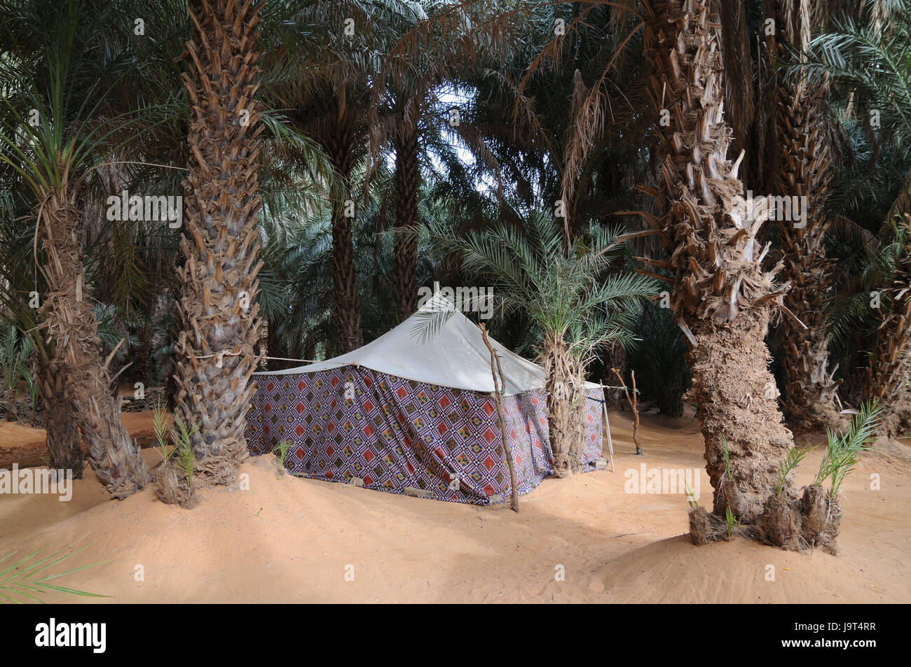 Mauritania,Adrar,Tirjit,palm oasis,tent,Africa,West Africa,scenery ...