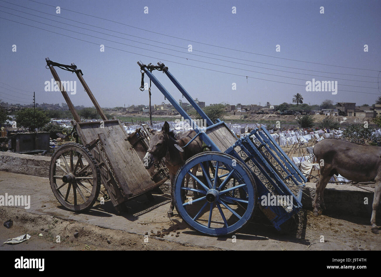 Sindh province hi-res stock photography and images - Alamy