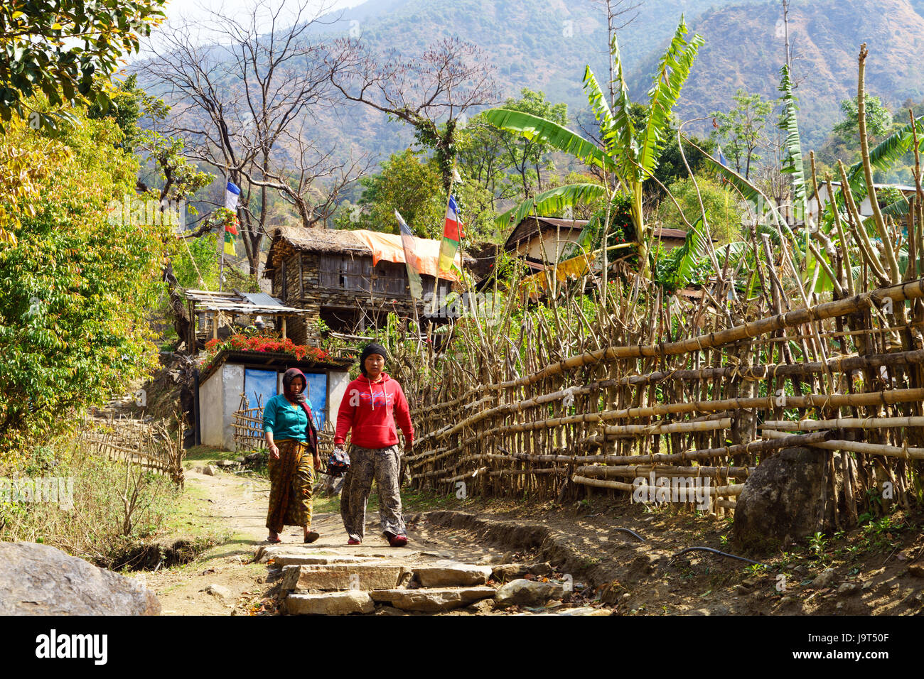 Locals walking on the trail near Bahundanda, Annapurna region, Nepal ...