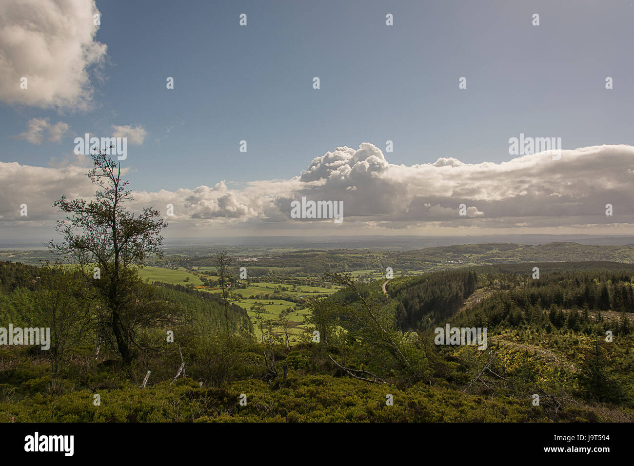 Moel Famau Country Park, Wales, UK, Britain. Welsh hillside, views of ...