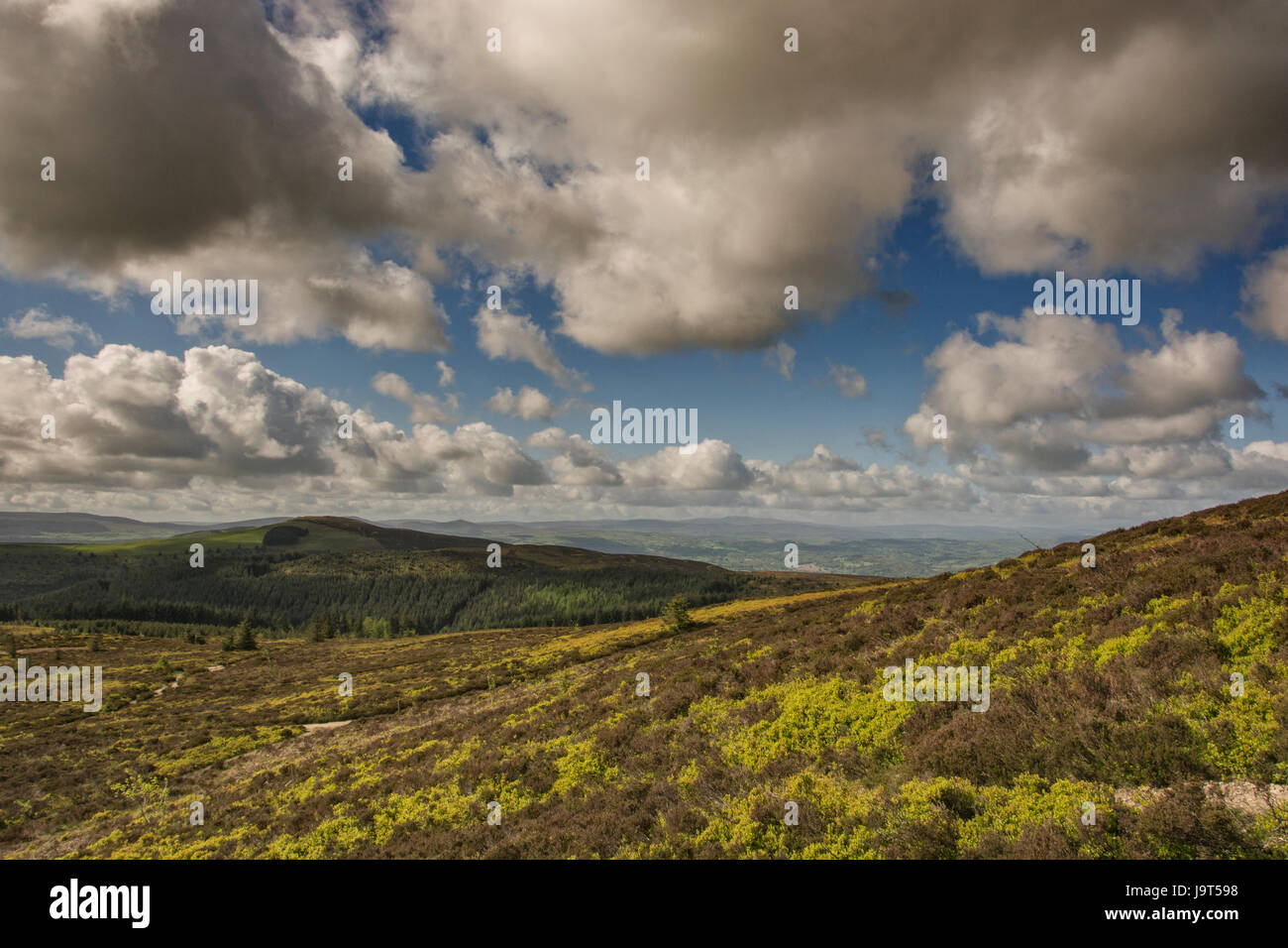 Moel Famau Country Park, Wales, UK, Britain. Welsh hillside, views of ...