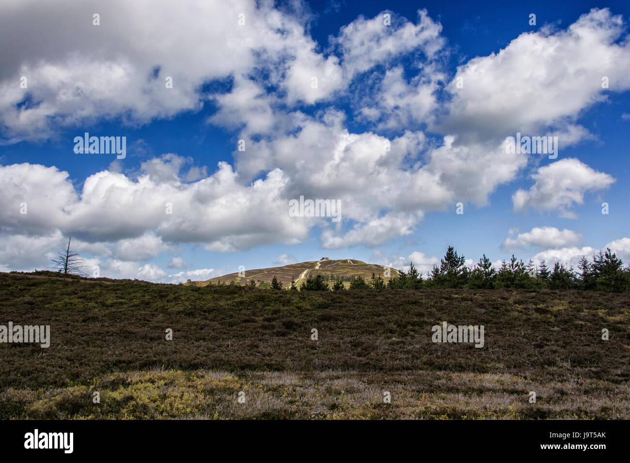 Moel Famau Country Park, Wales, UK, Britain. Welsh hillside, views of ...