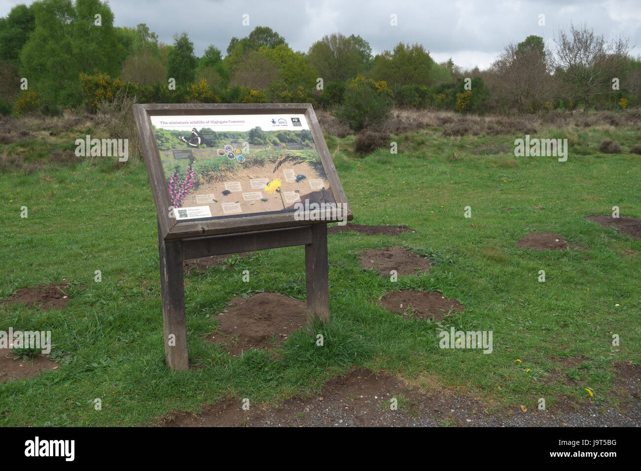Information board and path at Highgate Common. Staffordshire Wildlife ...