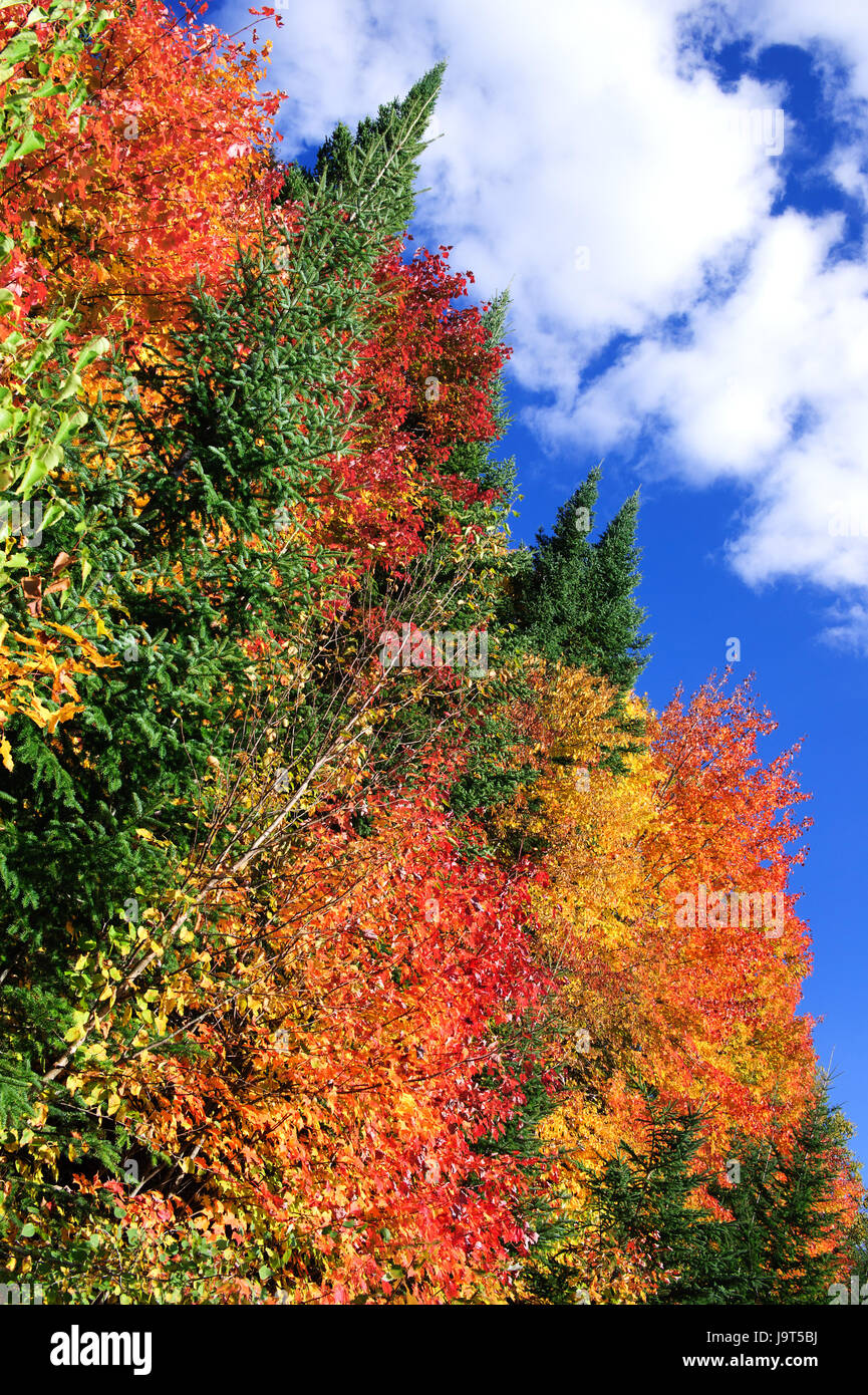 Canada laurentian mountains autumn hi-res stock photography and images ...