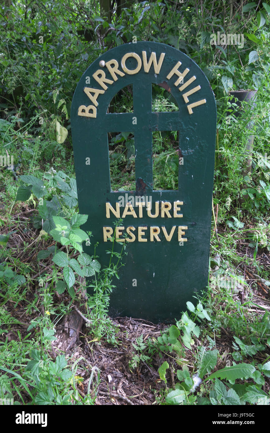 Barrow hill nature reserve hi-res stock photography and images - Alamy