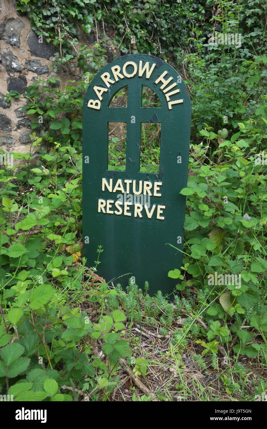 Barrow hill nature reserve hi-res stock photography and images - Alamy