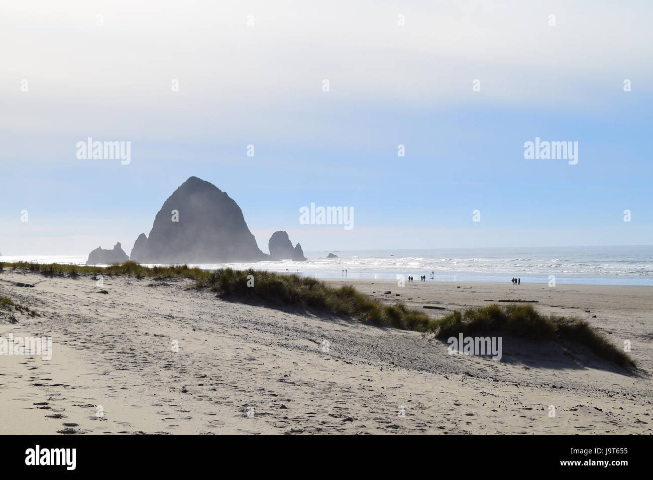 Haystack rock beach grass hi-res stock photography and images - Alamy