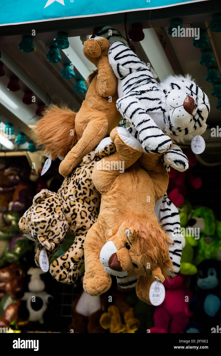 Carnival Prize Stuffed Animal High Resolution Stock Photography and ...