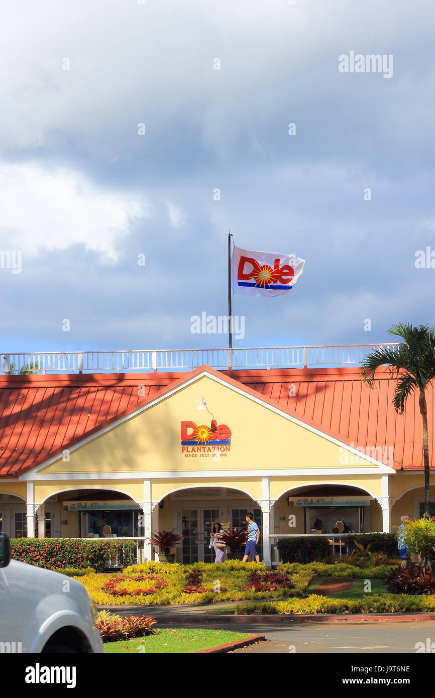 Dole plantation pineapple maze hi-res stock photography and images - Alamy