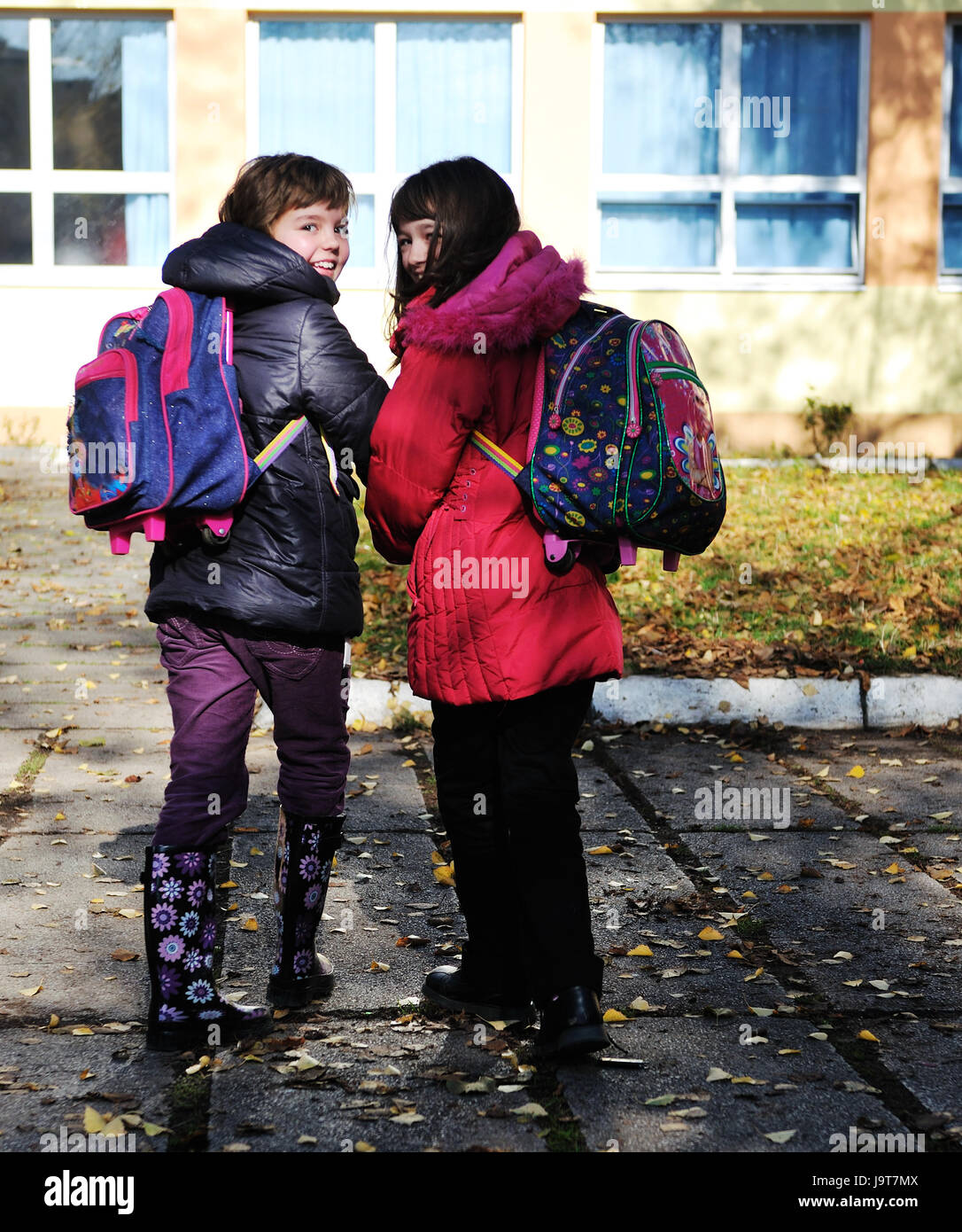 study, humans, human beings, people, folk, persons, human, human being ...