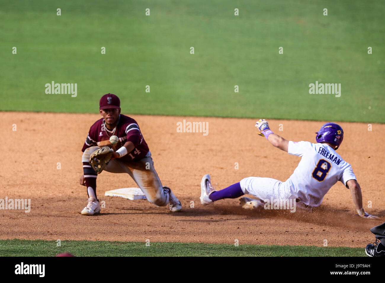 Baton Rouge, LA, USA. 02nd June, 2017. LSU infielder Cole Freeman (8 ...