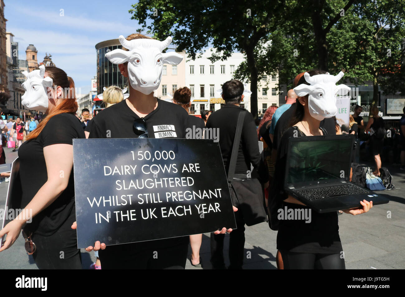Protest cow hi-res stock photography and images - Alamy